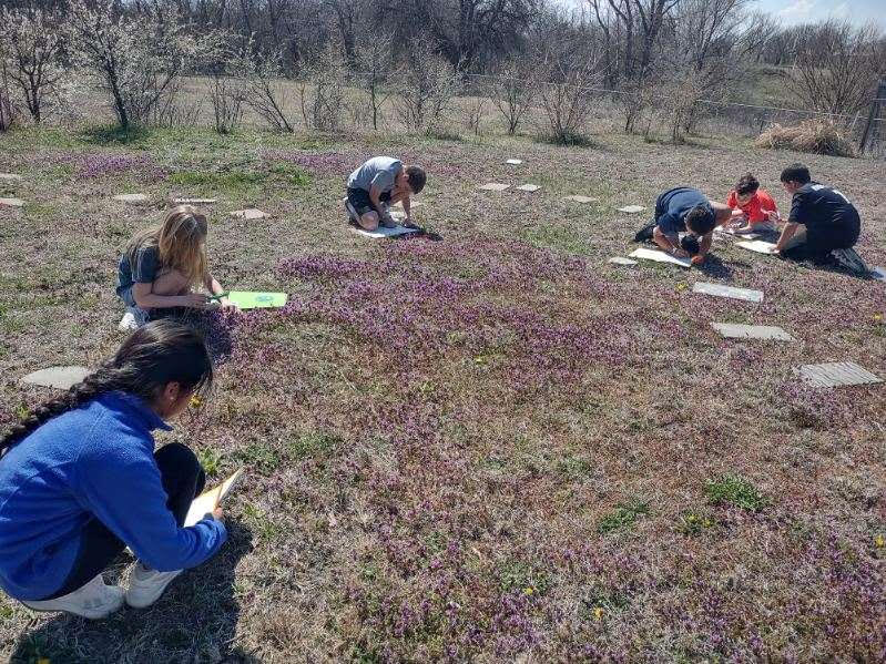 Ell-Saline USD 307 - 4th Grade students study plants